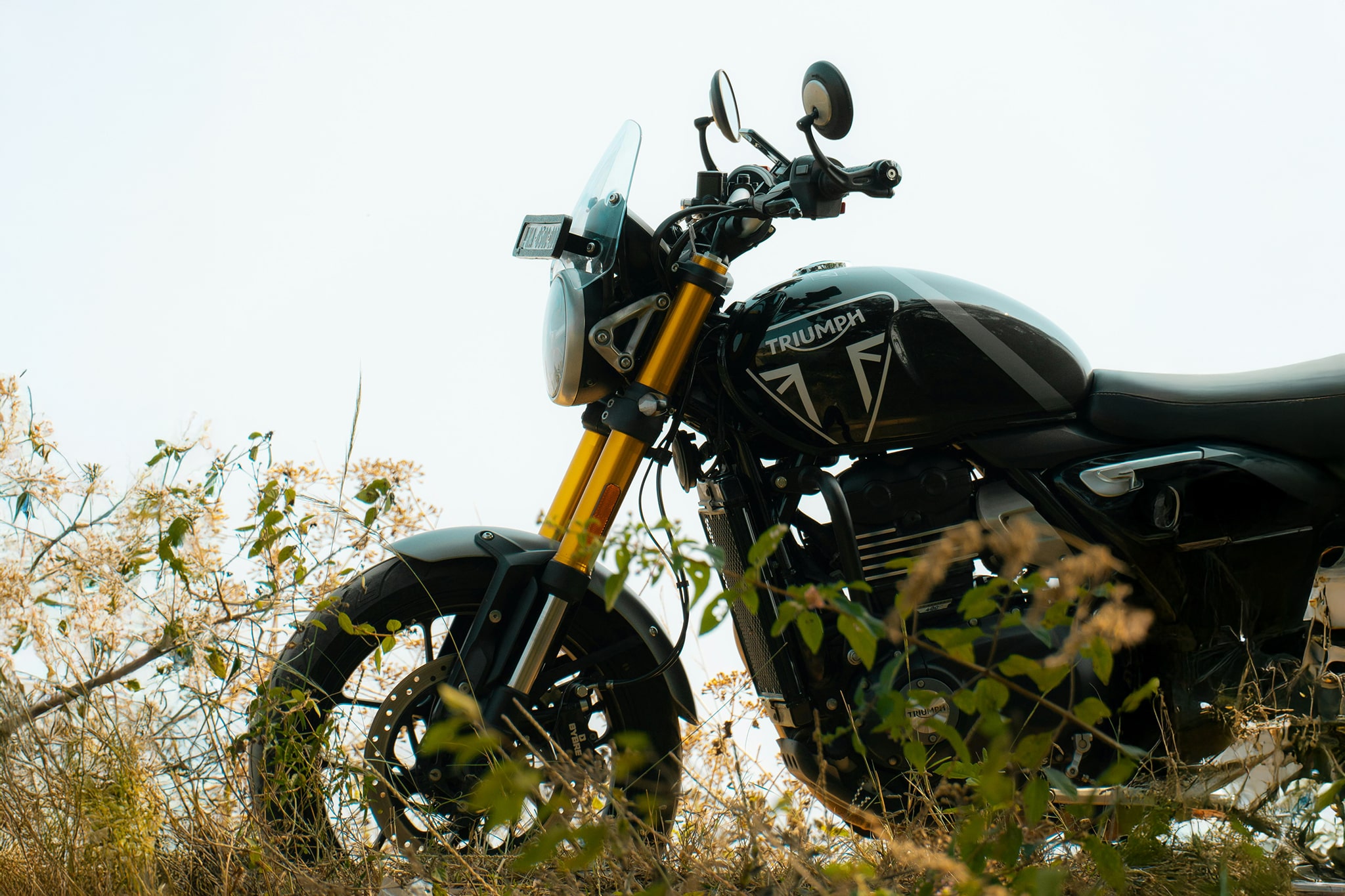 The Rider’s Glossary: Terms, Slang and Lingo Explained - Ride With Us